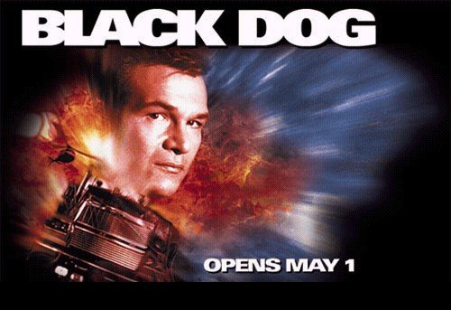Black Dog - DvdToile